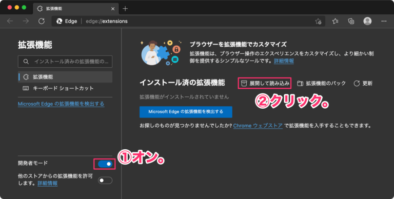 Ruffleをブラウザへインストールする方法。拡張機能も登場。