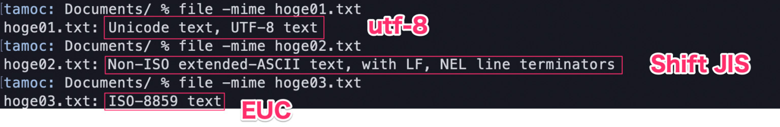 文字コードの確認方法（utf-8・Shift JIS・EUC）